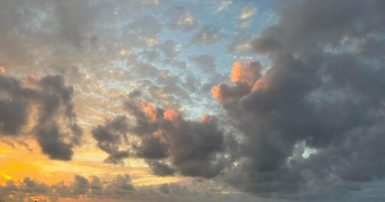 サバイバルなカナダでのワーホリ体験記｜AYAMI SHE11期海外コミュサポ隊