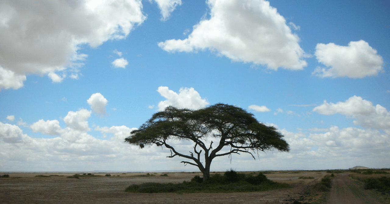 「ヒトの初心忘るべからず」。はじめます。｜yuko matsuki
