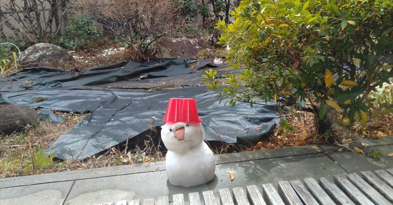 chiko hashibiro｜note