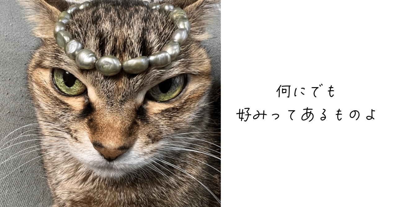 腐葉土の謎に迫る⑤｜Ms'HIRO