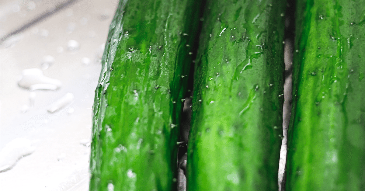 #2/6 【備忘録】リモート接続中にエクスプローラーをタスク終了してしまった｜ぎす