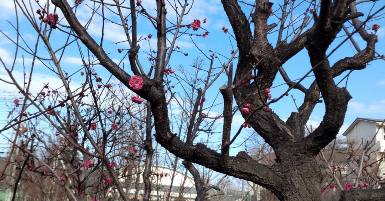 Ionicの紹介｜blue06_2022