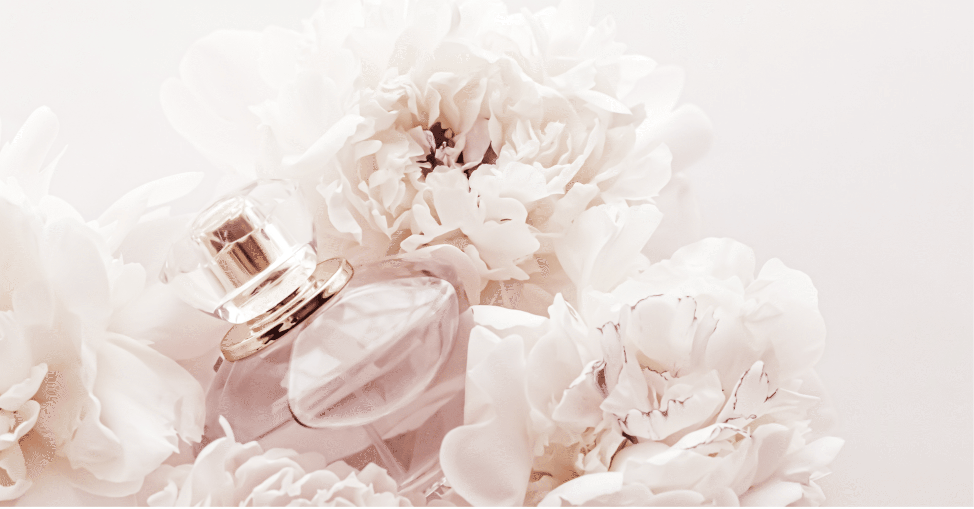 美容ライター / AYUMI｜note