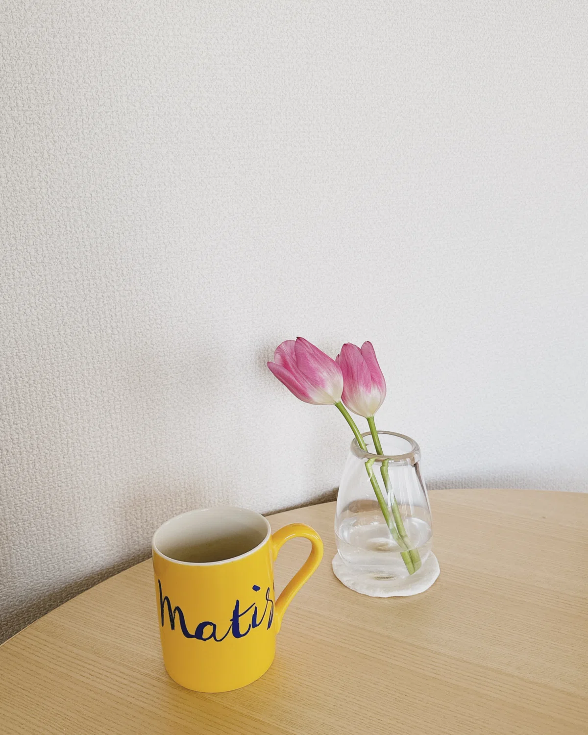 Baleen Morning｜plonger