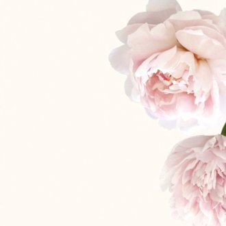 𝗁𝖺𝗋𝗎｜note