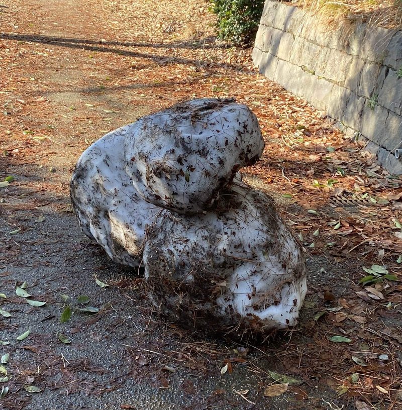 之哲／Yuki Satoru｜note