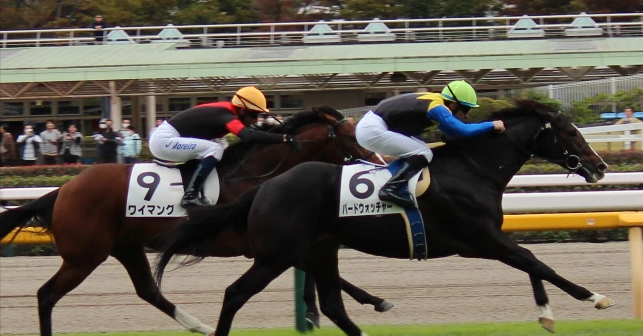 「競馬」の登場人物｜競馬概論