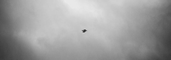 米谷隆佑｜Yoneya Ryusuke｜note