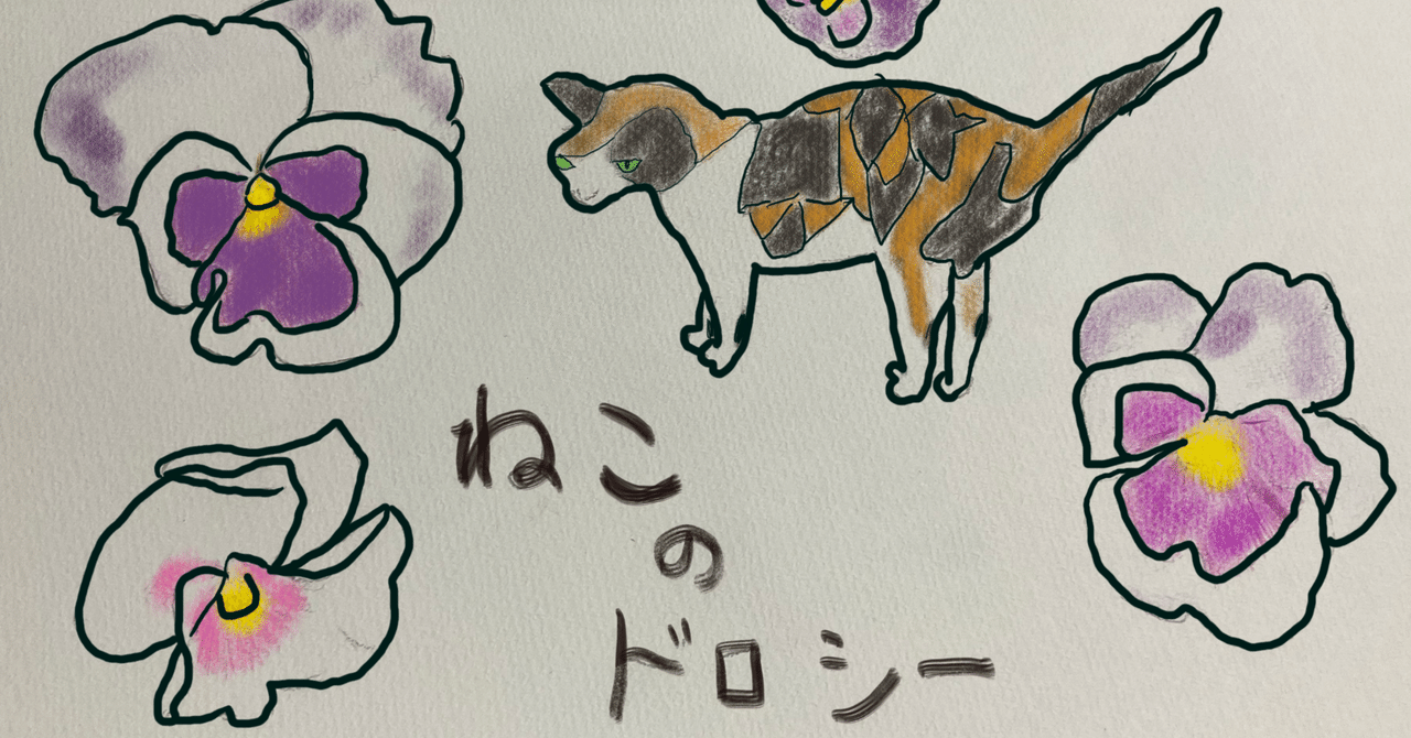 ねこのドロシー｜EUREKA articles