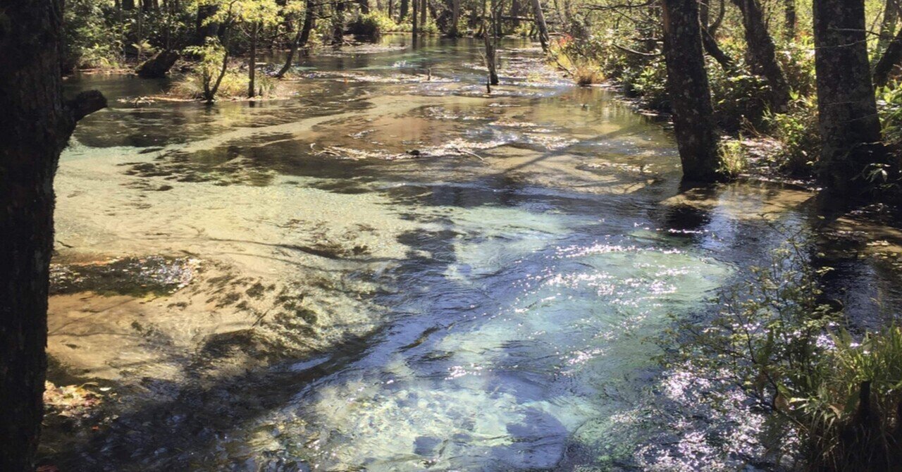 手作りエンディングノート｜maruko