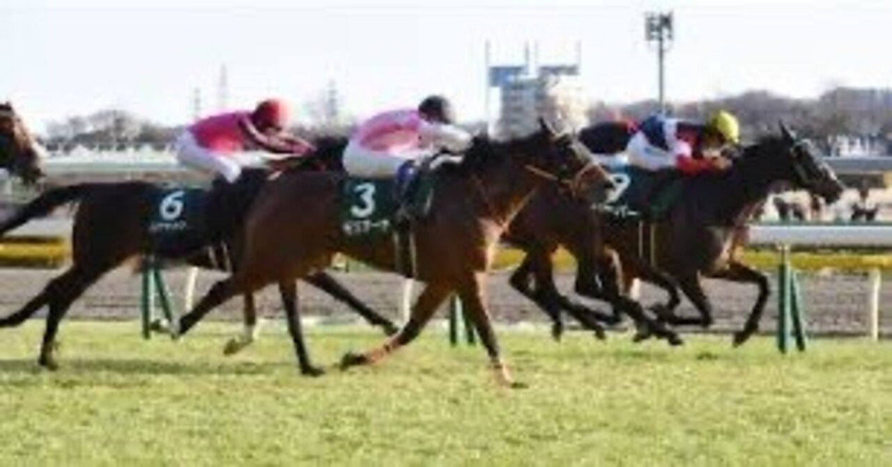 210 中央競馬東京、京都2会場全レース予想セット｜mia🎀競馬予想女子🐎💓無料予想公開中