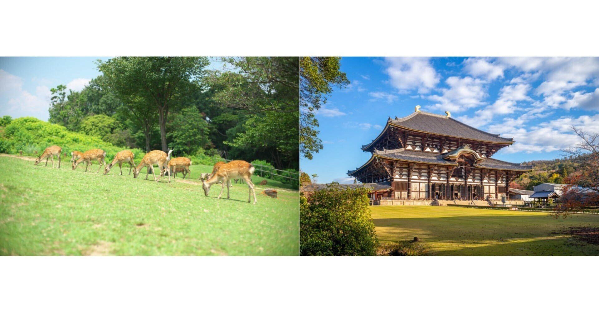 上田逸平(IPPEI UEDA)｜note