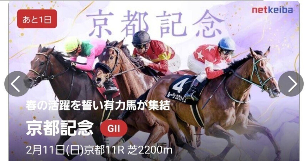 211日🔥勝負レース🔥【京都記念】【共同通信杯】w重賞で勝負する。ここは力を入れてしっかり当てる。【魂の勝負r】【単複勝負r】日も2