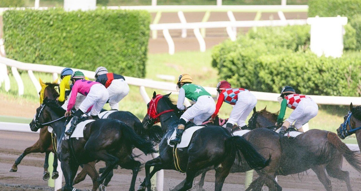 WIN5攻略ノート｜tombi ｜note