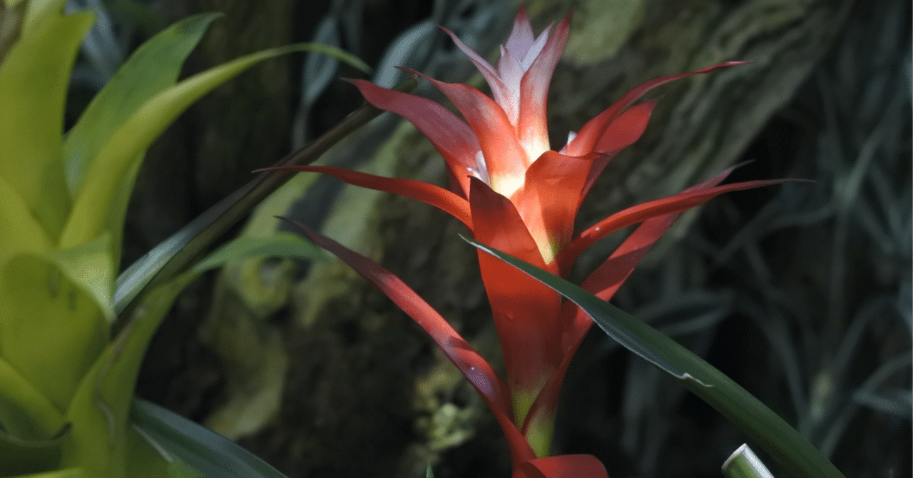 設計がいちばんたのしい｜neji bit