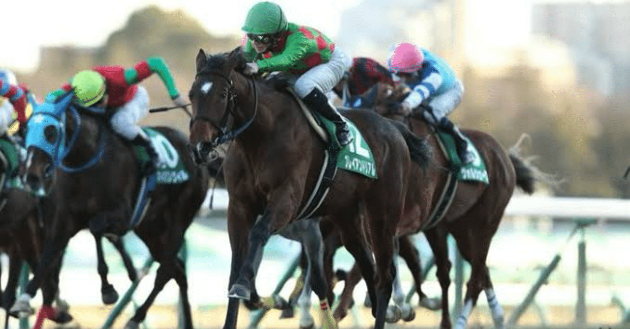 2月11日（日）東京9R～12R、京都9R～12R、小倉10R～11R競馬予想｜オコチャハピネス