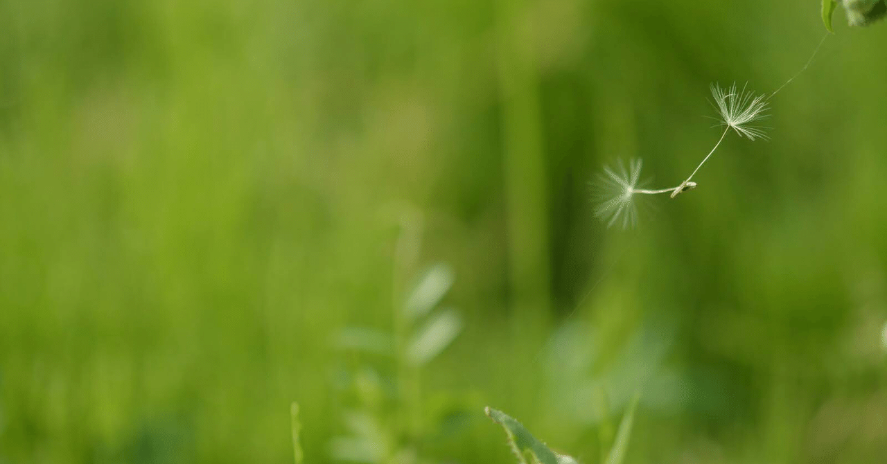 実は繋がり絡み合っている｜Regent e-design / 寺島博陸