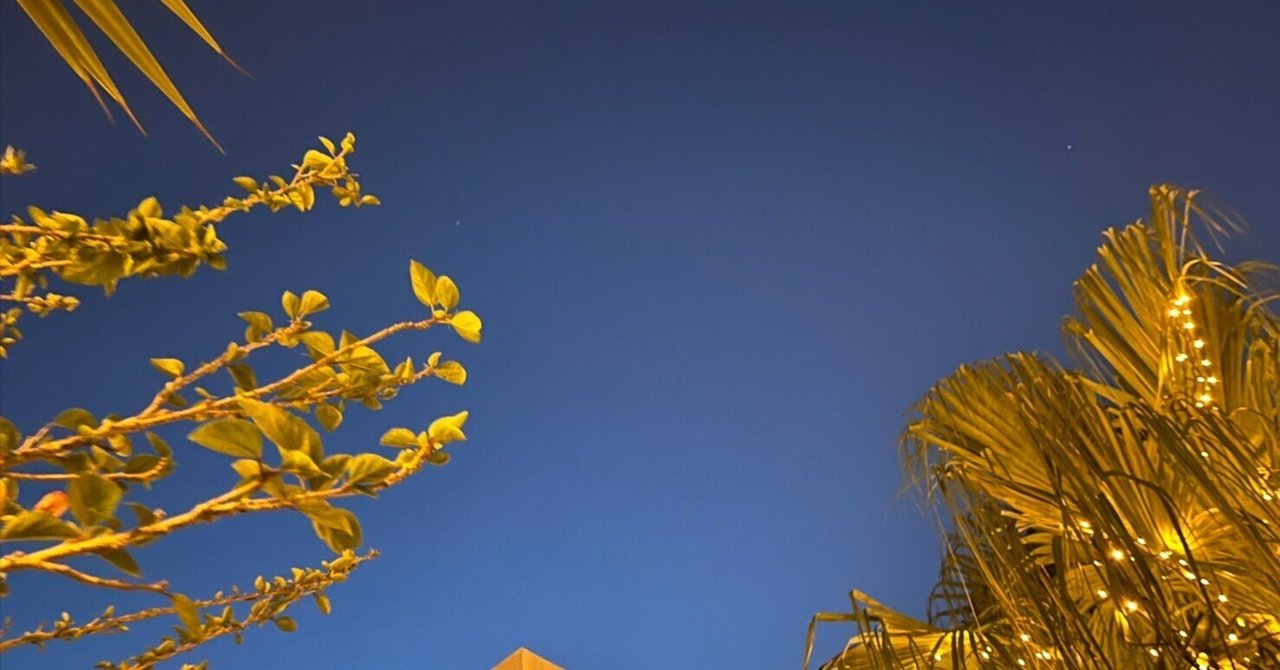 ワーホリ行く？行かない？決め方と目標設定｜AYAMI 広報PRときめきファインダー⭐️