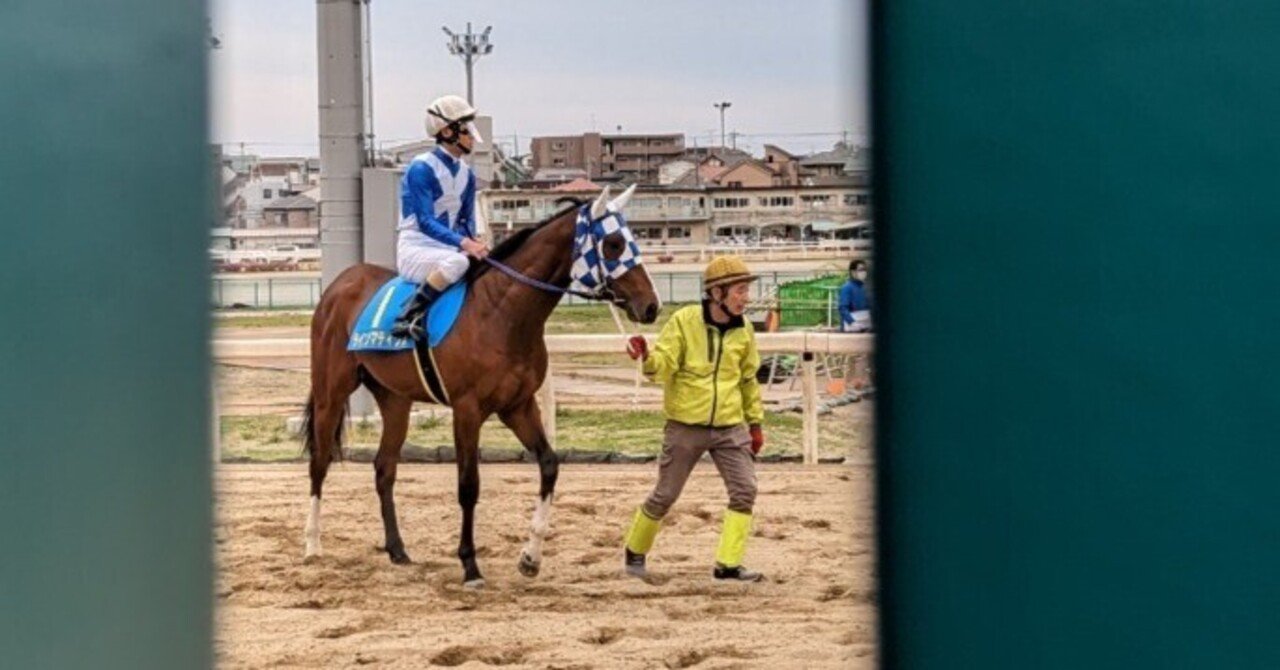 2月14日 大井競馬予想 3本勝負 雲取賞前に資金稼ぎ！？｜mj