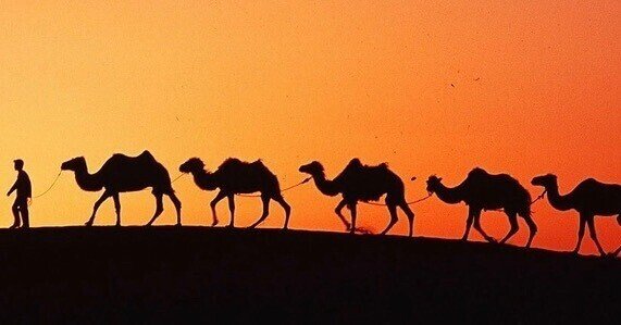 あっこはん(akiko)｜note