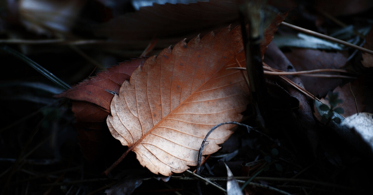 Orpheus - David Sylvian (1988)｜Tabla Rasa