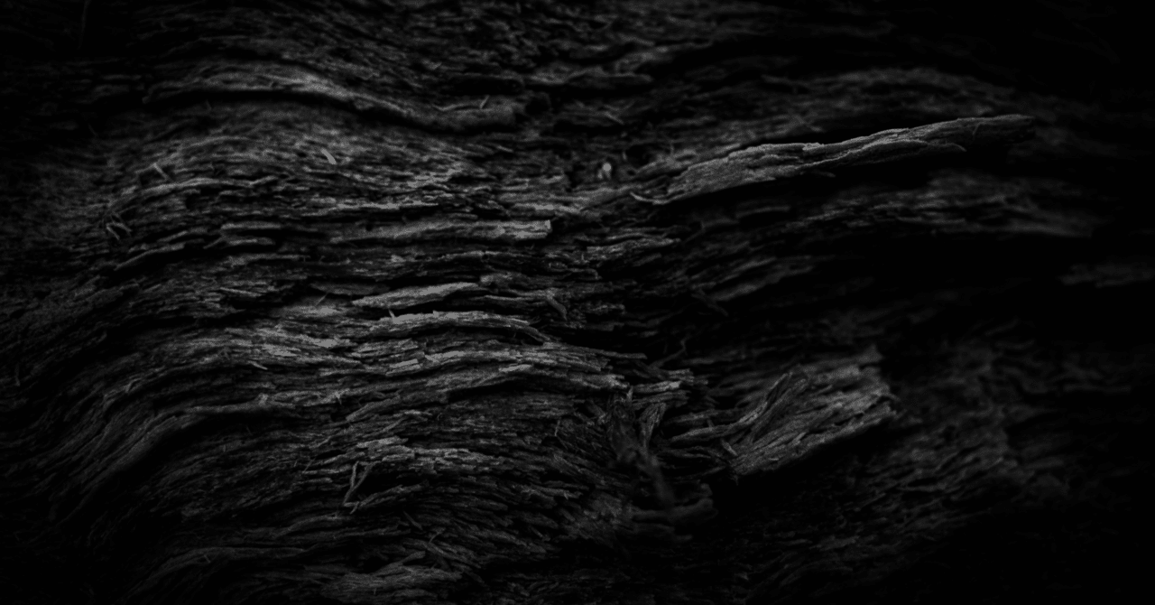 日記と珈琲_1月の裏側｜米谷隆佑｜Yoneya Ryusuke