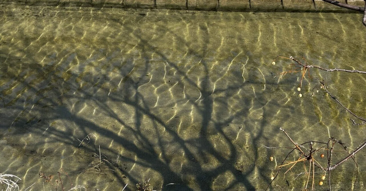 Floating shadow｜gather_disperse