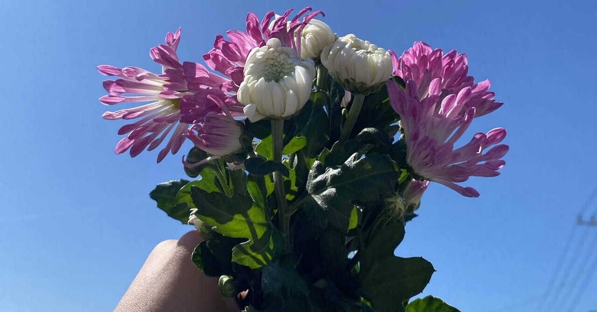 会えない人に会う方法｜Kanta Ueno / 上野 幹太