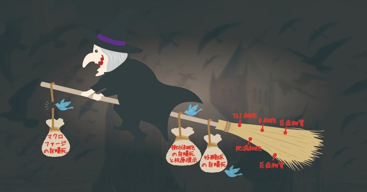 miwa@アテリオ・バイオ_公式note｜note