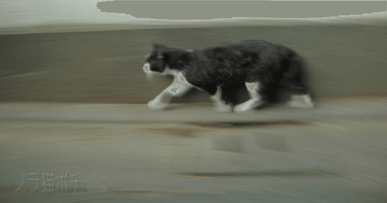 しばらく留守にします｜sawa