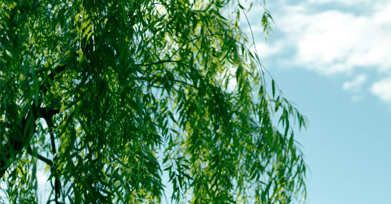 【連載小説】小五郎は逃げない 第25話｜鈴々堂/rinrin_dou@ゆりぱせり🎈