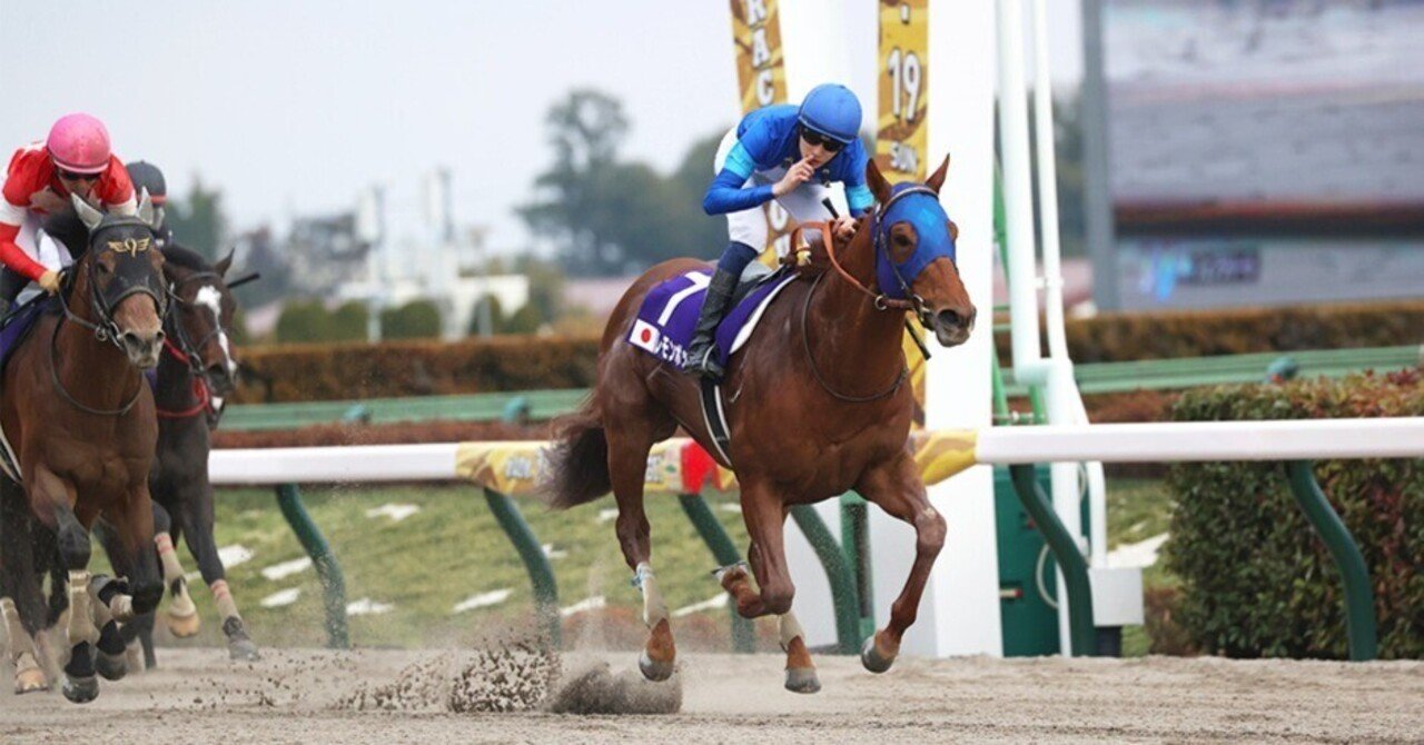 【2024 フェブラリーS（G1）】徹底的に攻略データ篇｜Haya