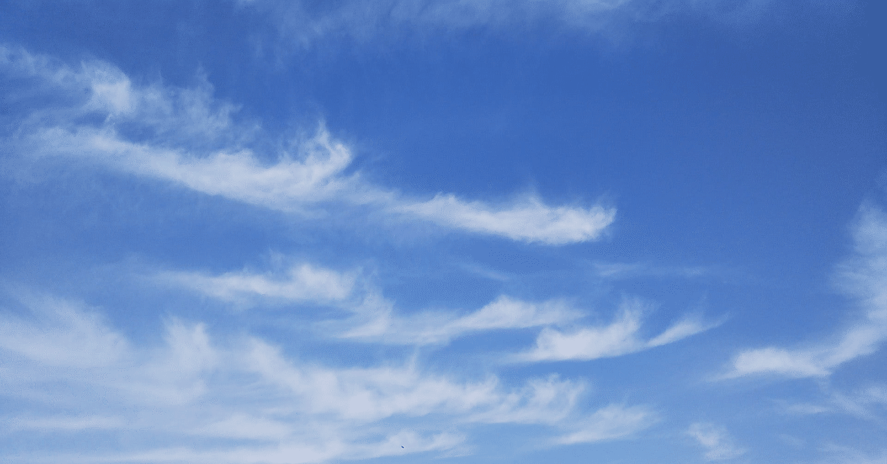 鳴門競艇！！！1R〜4Rセット！｜猪之くん