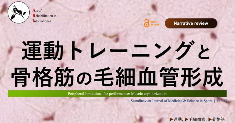 運動トレーニングと骨格筋の毛細血管形成|super Human 理学療法士/保健学博士 Phd