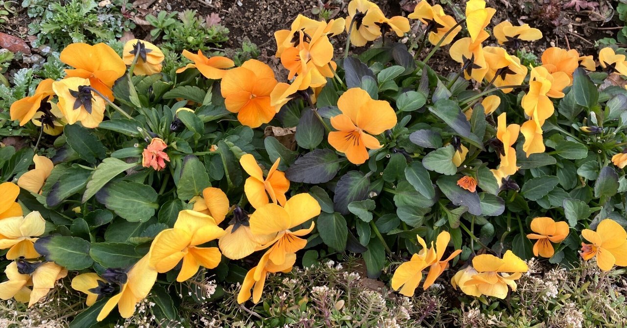 ふと・・・思う｜poporin