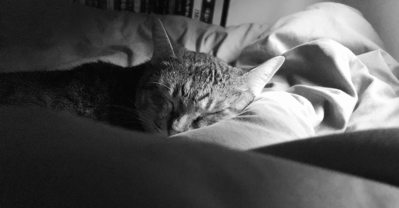 久しぶりに石が欲しくなるノ巻｜スギモト ナオシ Naoshi Sugimoto