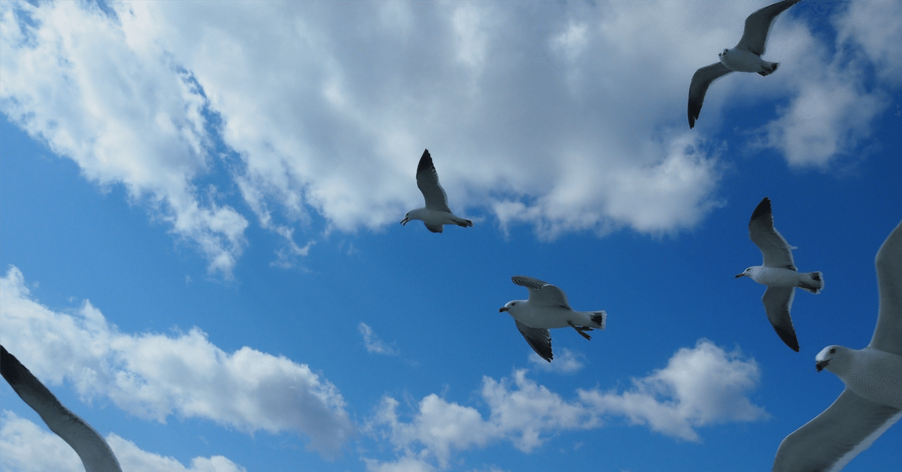 らりるれろ｜SHIHO