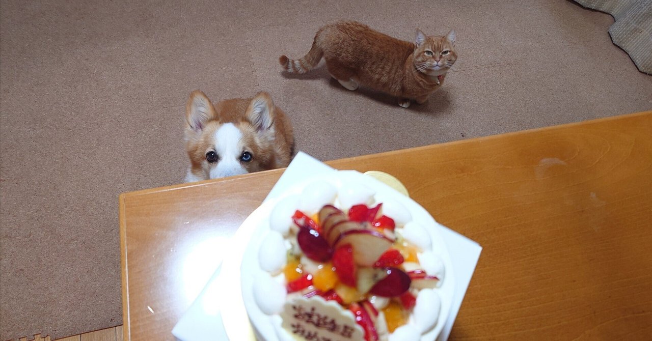 はじめまして｜shry