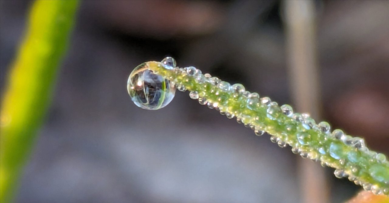 笑っちゃうし泣いちゃう動画｜ichiro70