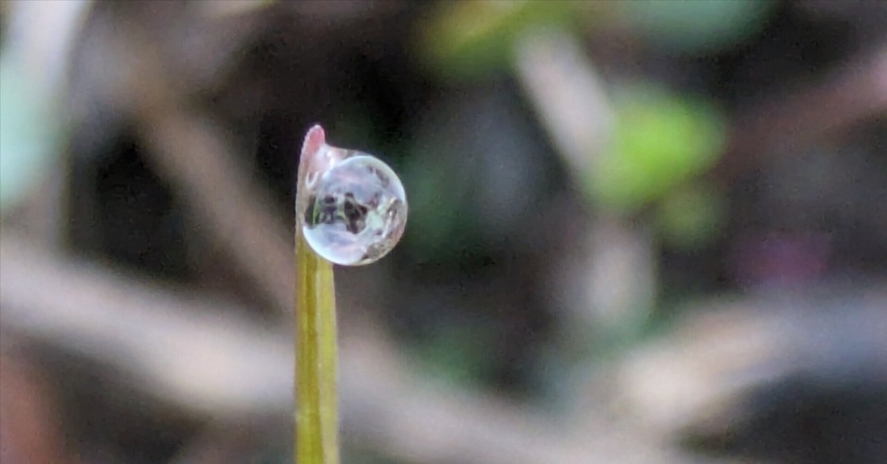 笑っちゃうし泣いちゃう動画｜ichiro70