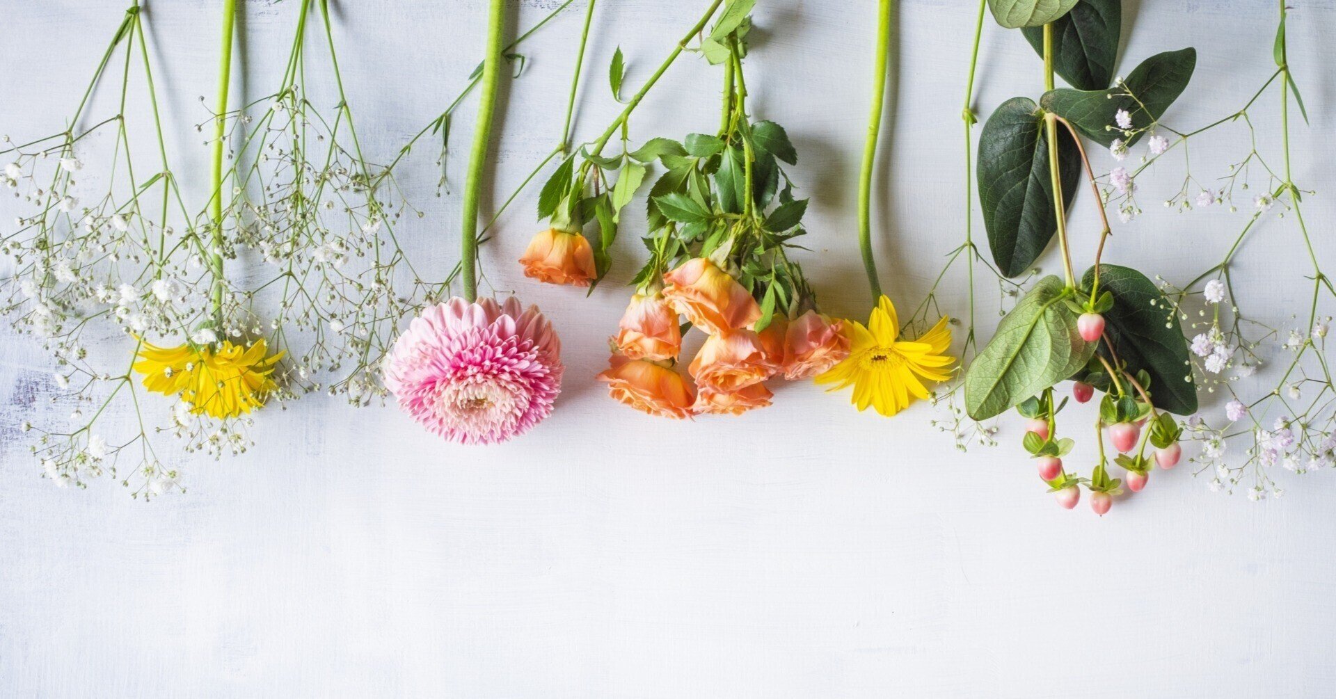 kanon＠心のお勉強中｜note