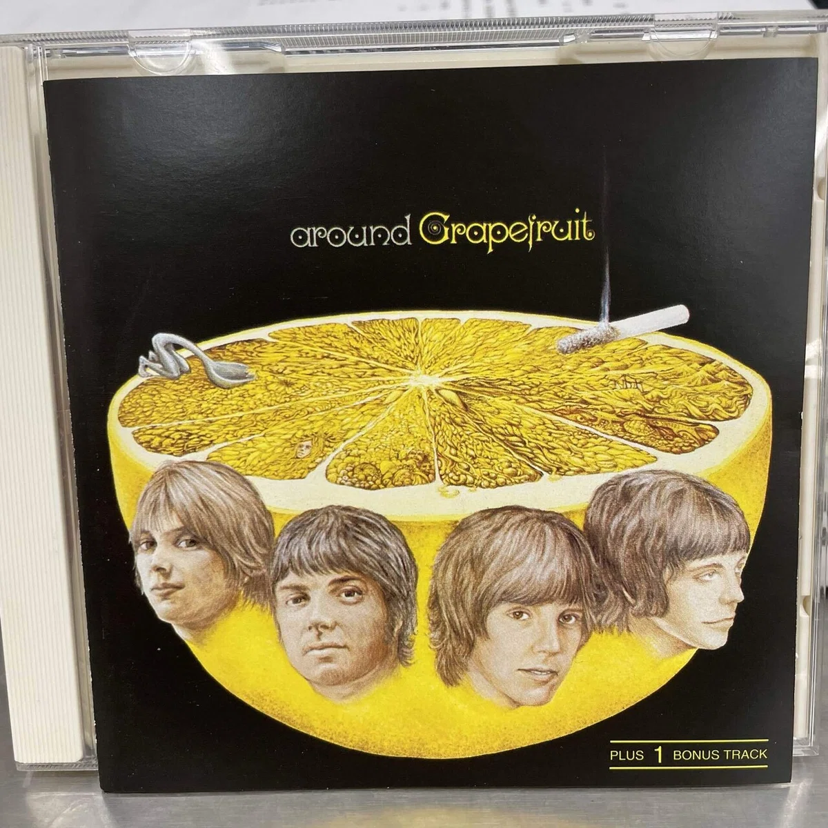 『Around Grapefluit』★★★☆☆(3.0)音楽購入履歴#3｜kenjiro tsuji