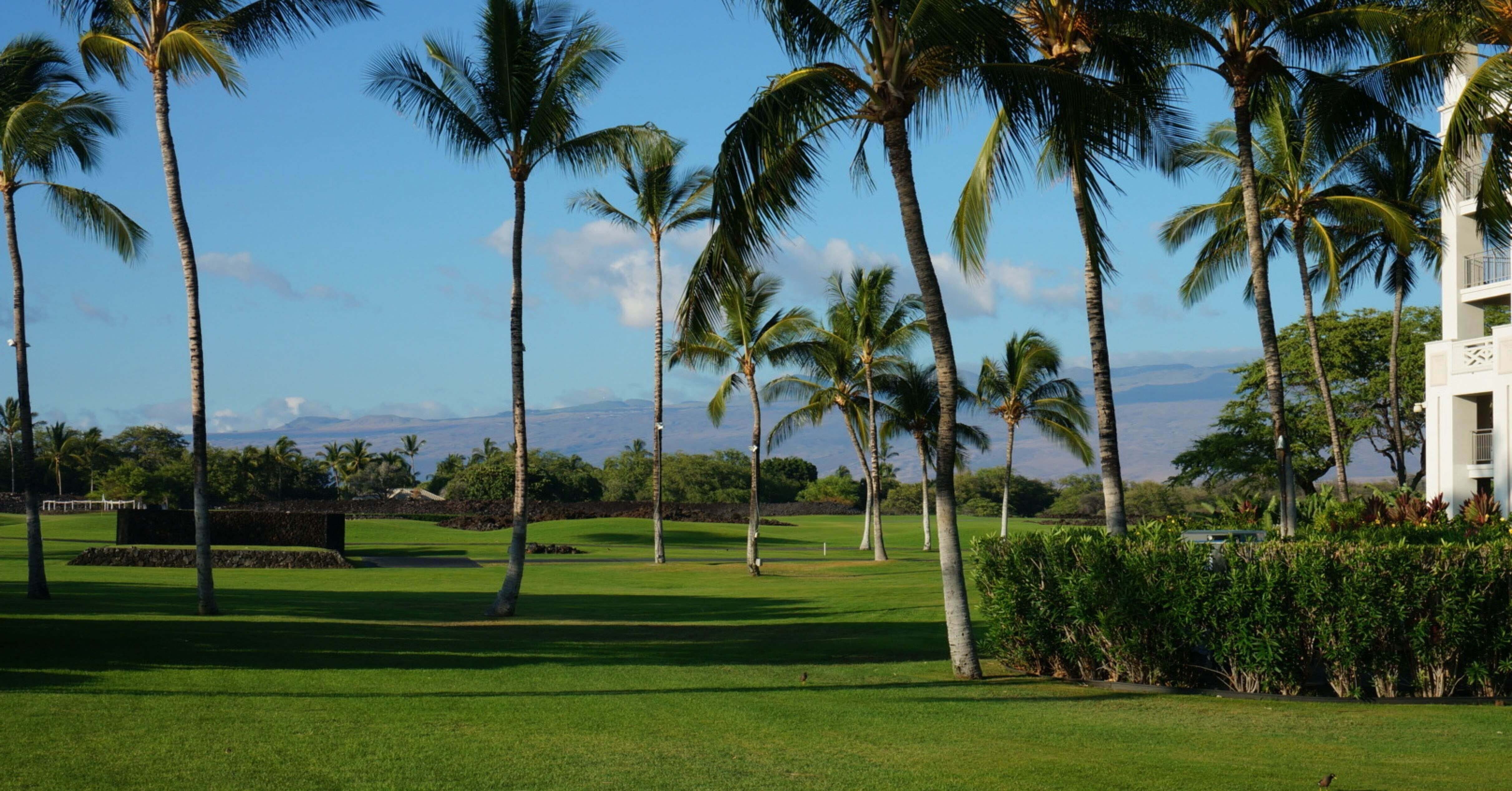 【英語学習者】Masa Shimada｜note