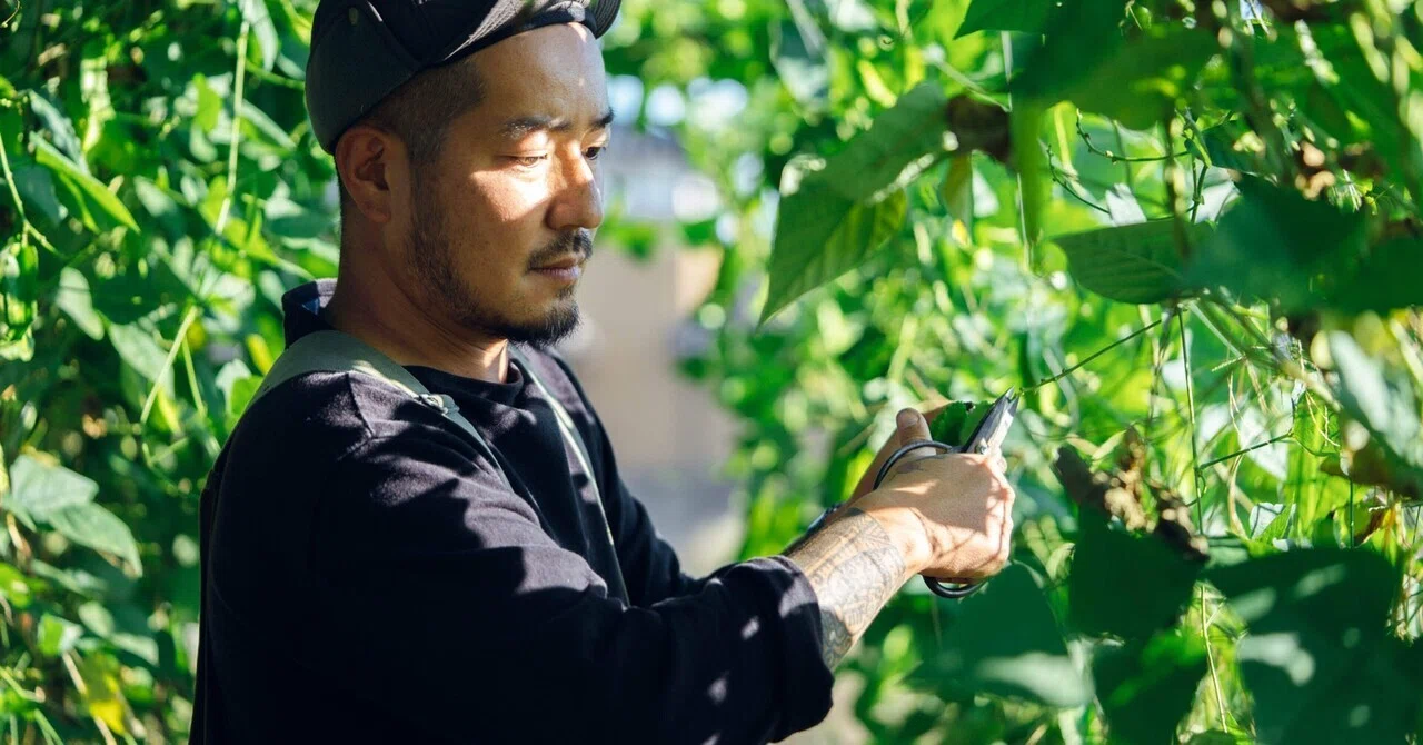 俺パワハラ？｜NORA FARM RADIO (Podcast)
