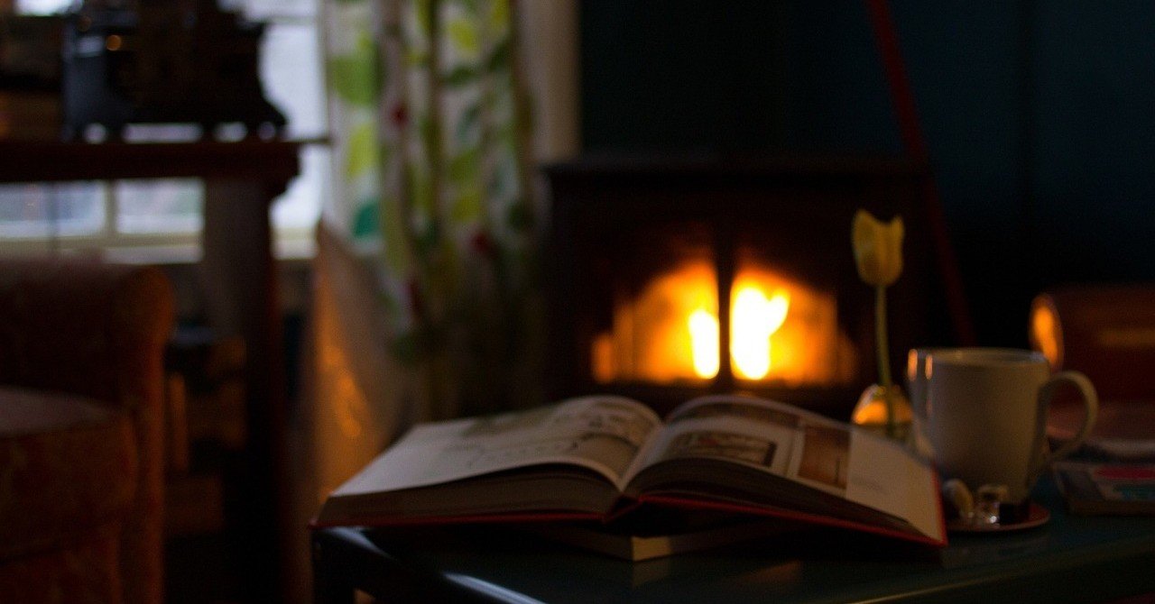 書評：戦略プロフェッショナル/三枝匡｜奥村 嘉之/WineHacker