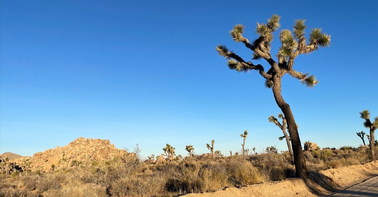 Las Vegas ,Dec.2023 vol.2〜Joshua Tree ~ Las Vegas ,Sphireにて、U2を聴く。｜Ryuji Noda