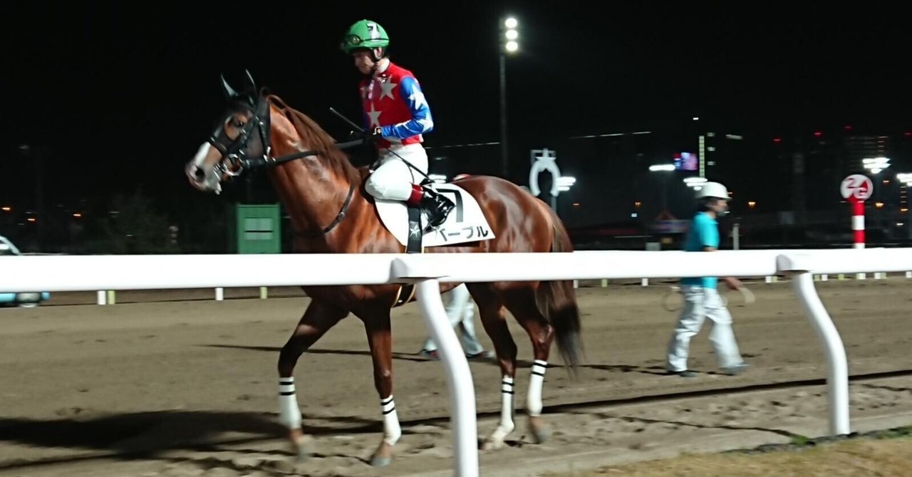 2024/2/16（金）競馬予想結果｜JRA・競馬予想