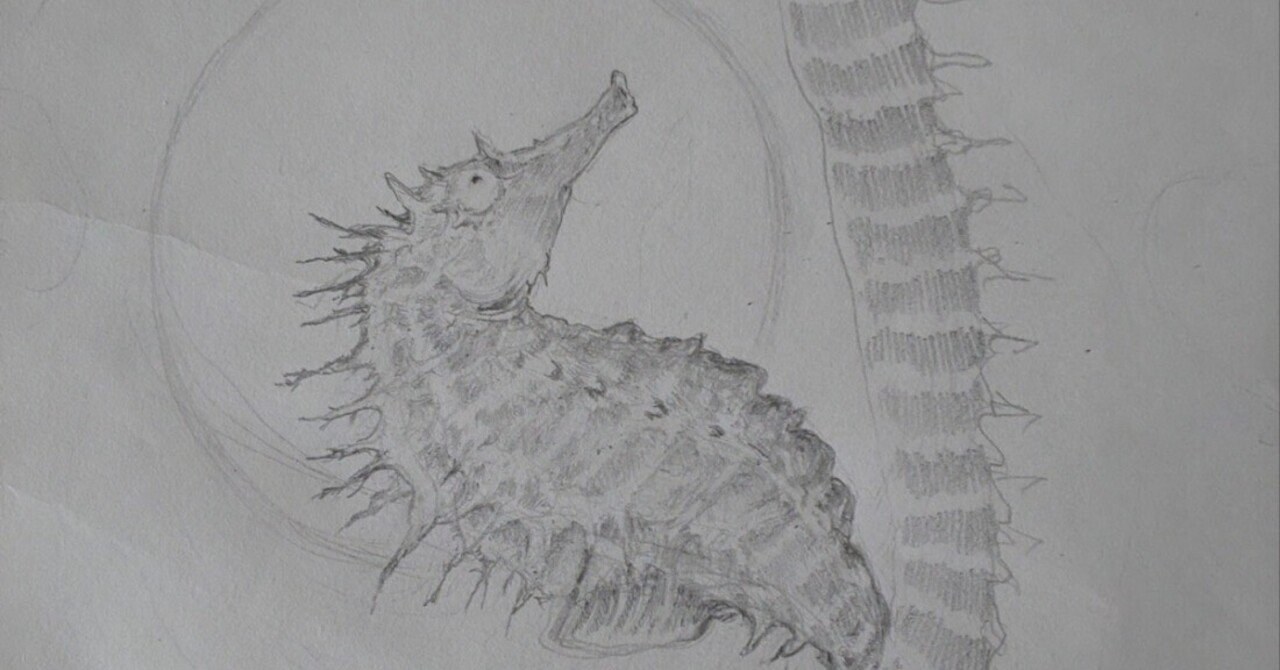 タツノオトシゴ（スケッチドローイング）｜chiaki_asu