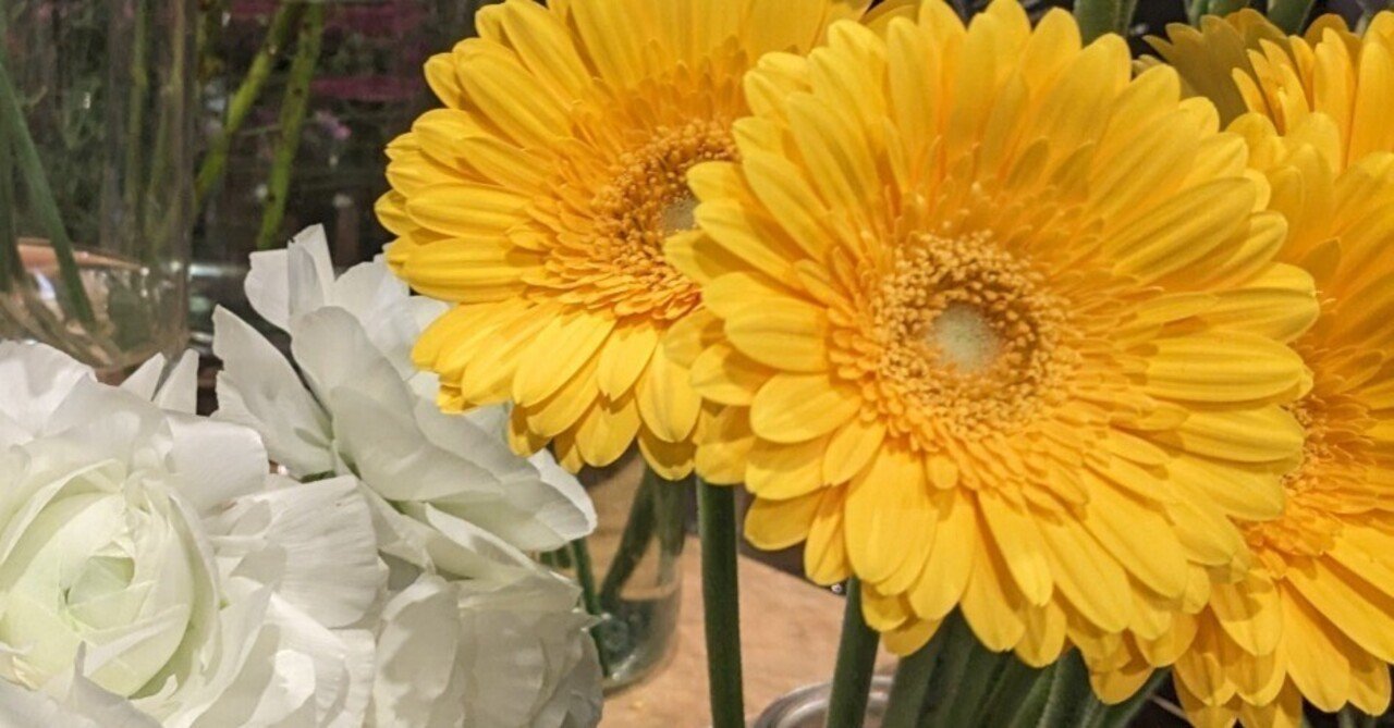 変化変容｜sacchin