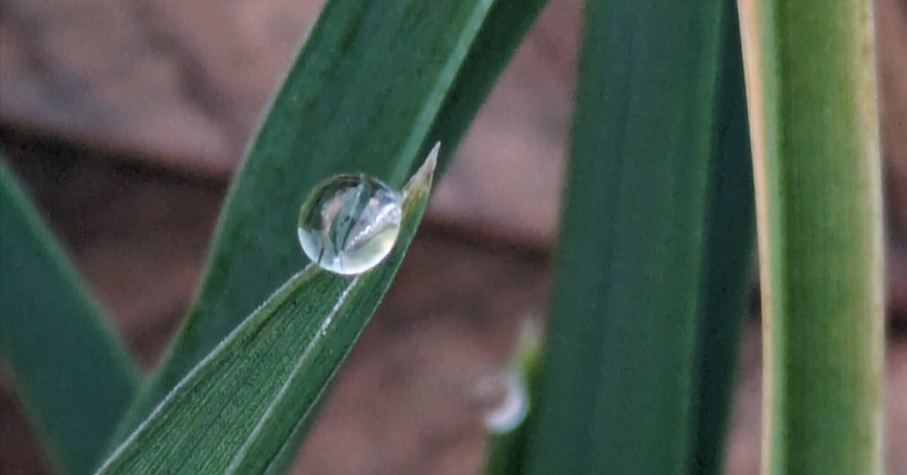 2巻192番~作者 作者不詳(舎人)｜ichiro70